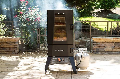 Best Portable Propane Smokers and Gas Smokers 2025 Reviews