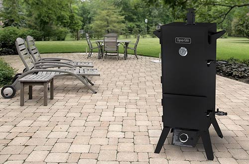 Best Portable Propane Smokers and Gas Smokers 2025 Reviews